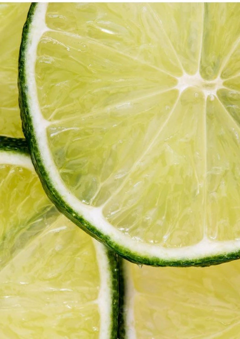 Florida Only! Key Lime (citrus × Aurantiifolia) Grafted Plant 1 Gallon ...