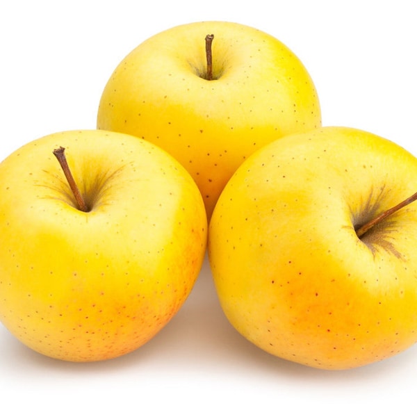 Golden Apple - Etsy
