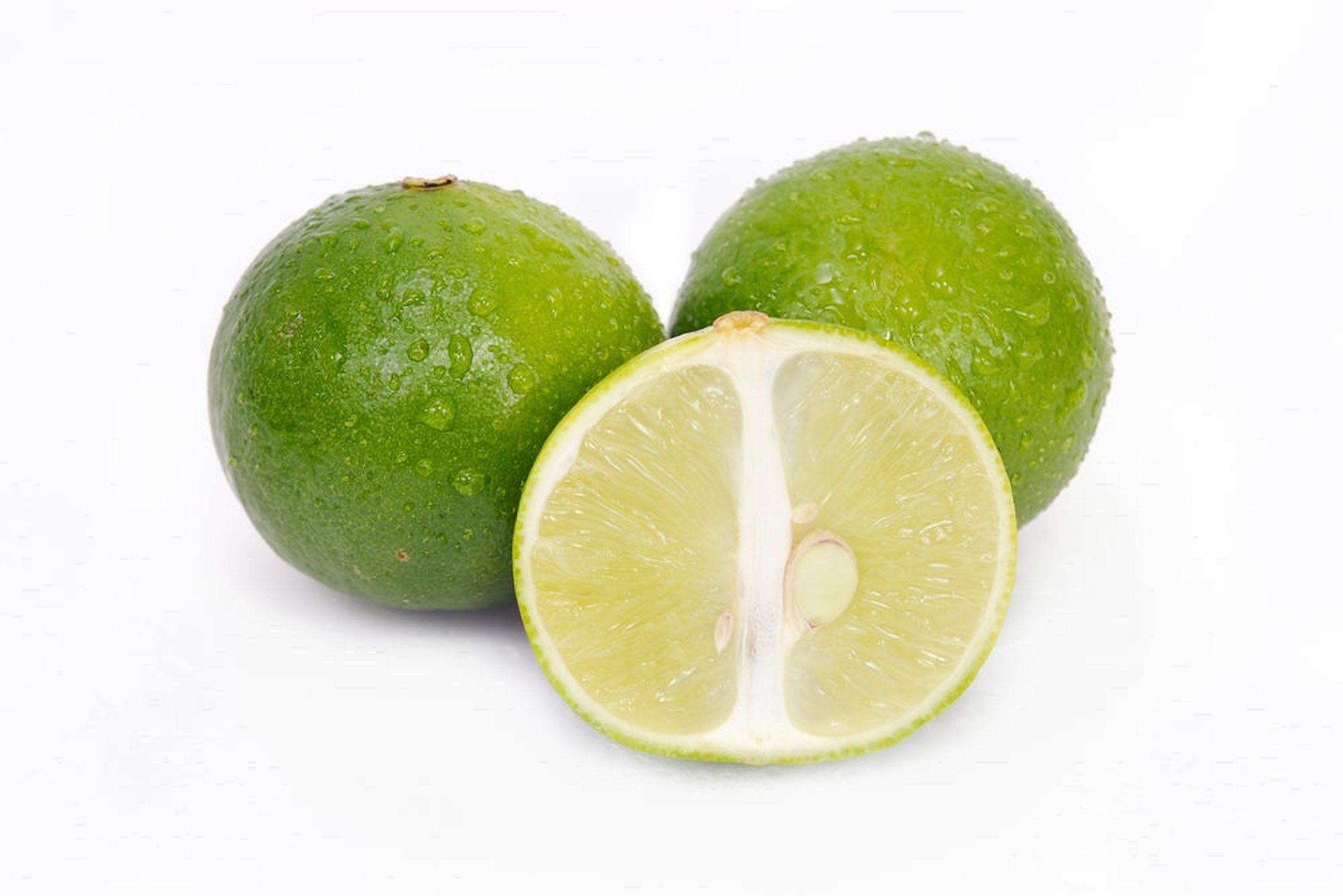 One Thornless Key Lime (1-2 Feet), Grafted, No Ship Az, Ca, Fl, La, Tx ...
