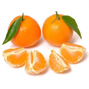 Florida Only!! Clementine (citrus Reticulata ‘clementine’) 1-2 Ft Tall ...