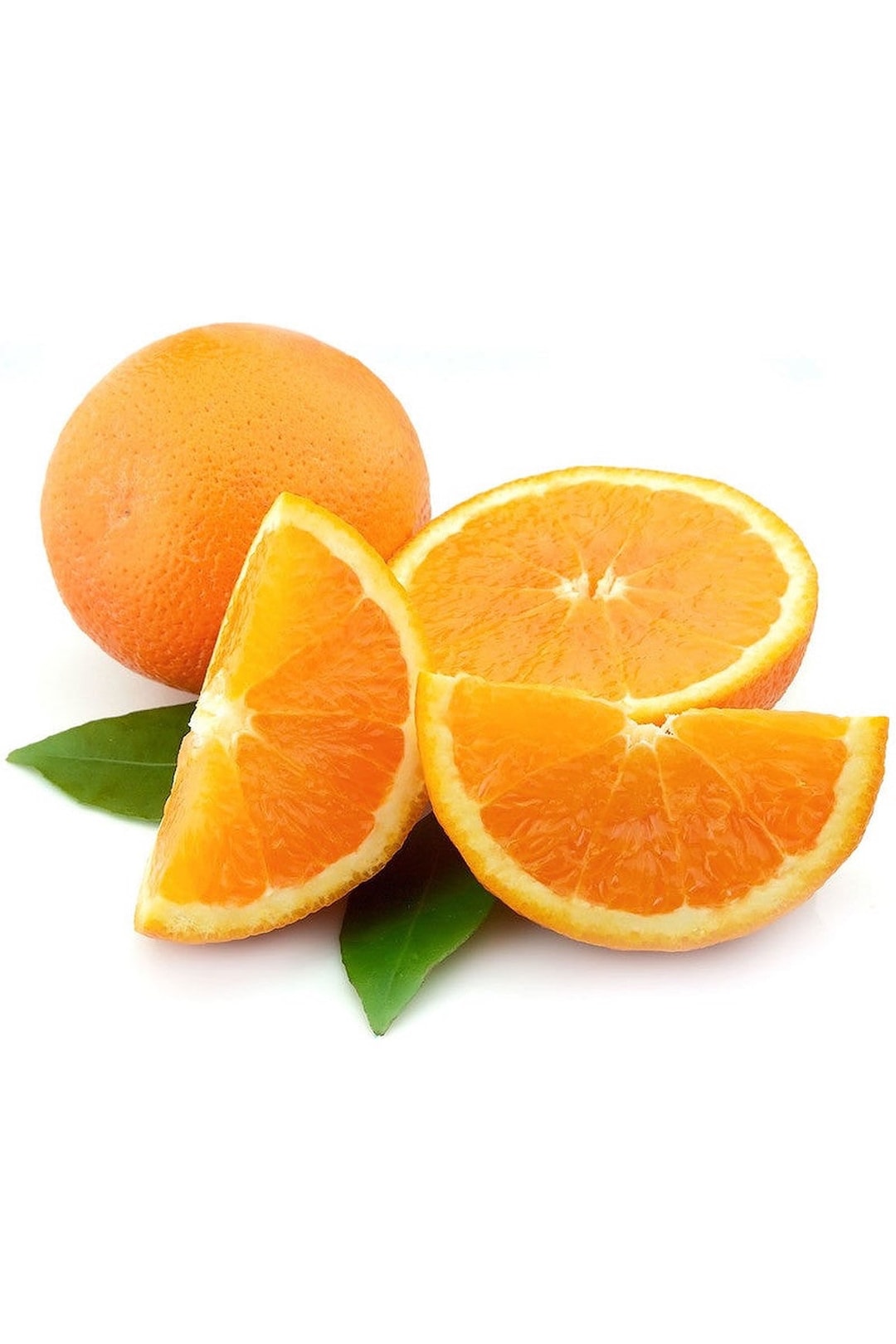 One Midsweet Orange (1-2 Feet), Grafted, No Ship Az, Ca, Fl, La, Tx, Hi ...