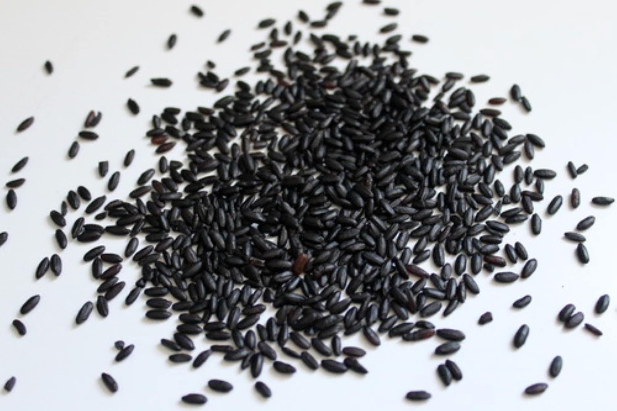 Black Rice 500 Seeds Forbidden Nutty Flavor Easy to Grow Organic Plants ...