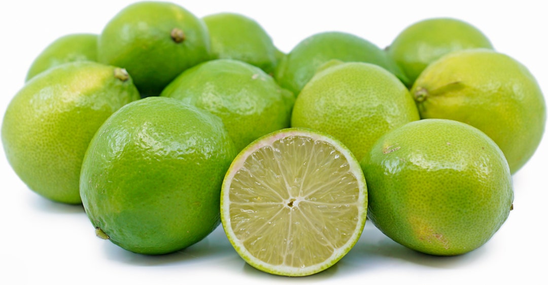 California Only! Bearss Lime, 24-36 Inches Tall Tree, Seedless, Grafted ...