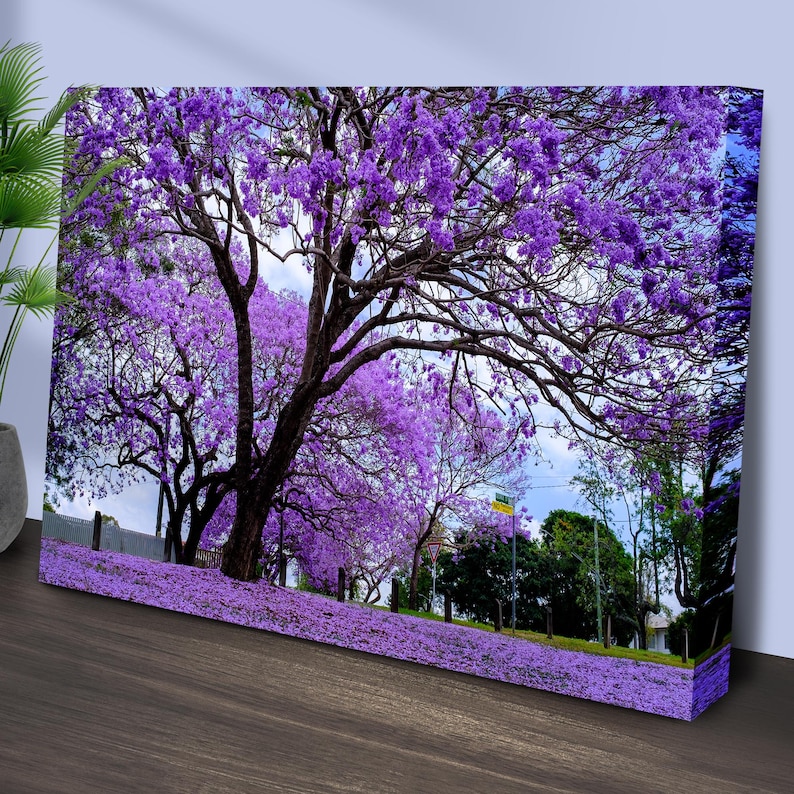 Jacaranda Trees Canvas Wall Art | Floral Canvas Print | Nature Home ...