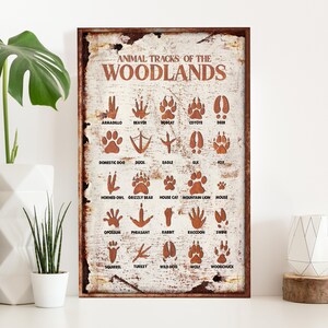 Woodland Nursery Decor | Animal Tracks | Nursery Decor | Animal Prints ...