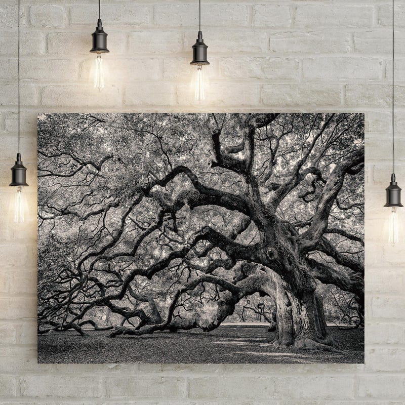 Angel Oak - Etsy