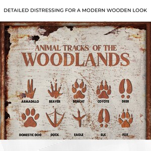 Woodland Nursery Decor | Animal Tracks | Nursery Decor | Animal Prints ...