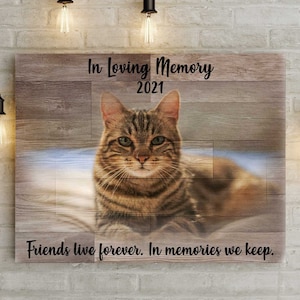 Cat Memorial Canvas Cat Remembrance Memory Frame Wall Decor - Etsy