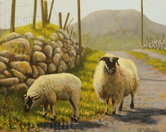 Sheep Ireland Canvas Wall Art Print by Irish Artist Keith - Etsy Norway