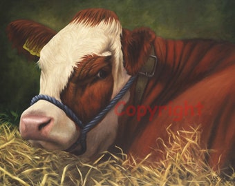 Simmental Bull Farm Cattle Canvas Wall Art Picture Print | Etsy