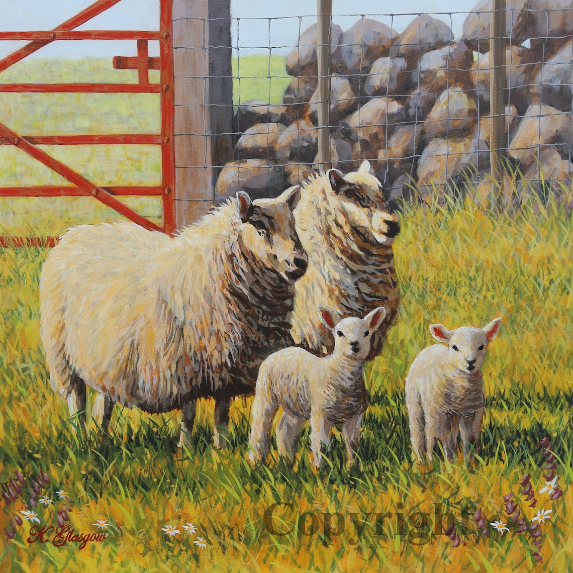 Sheep Lambs Ireland Canvas Wall Art Print by Irish Artist Keith Glasgow ...