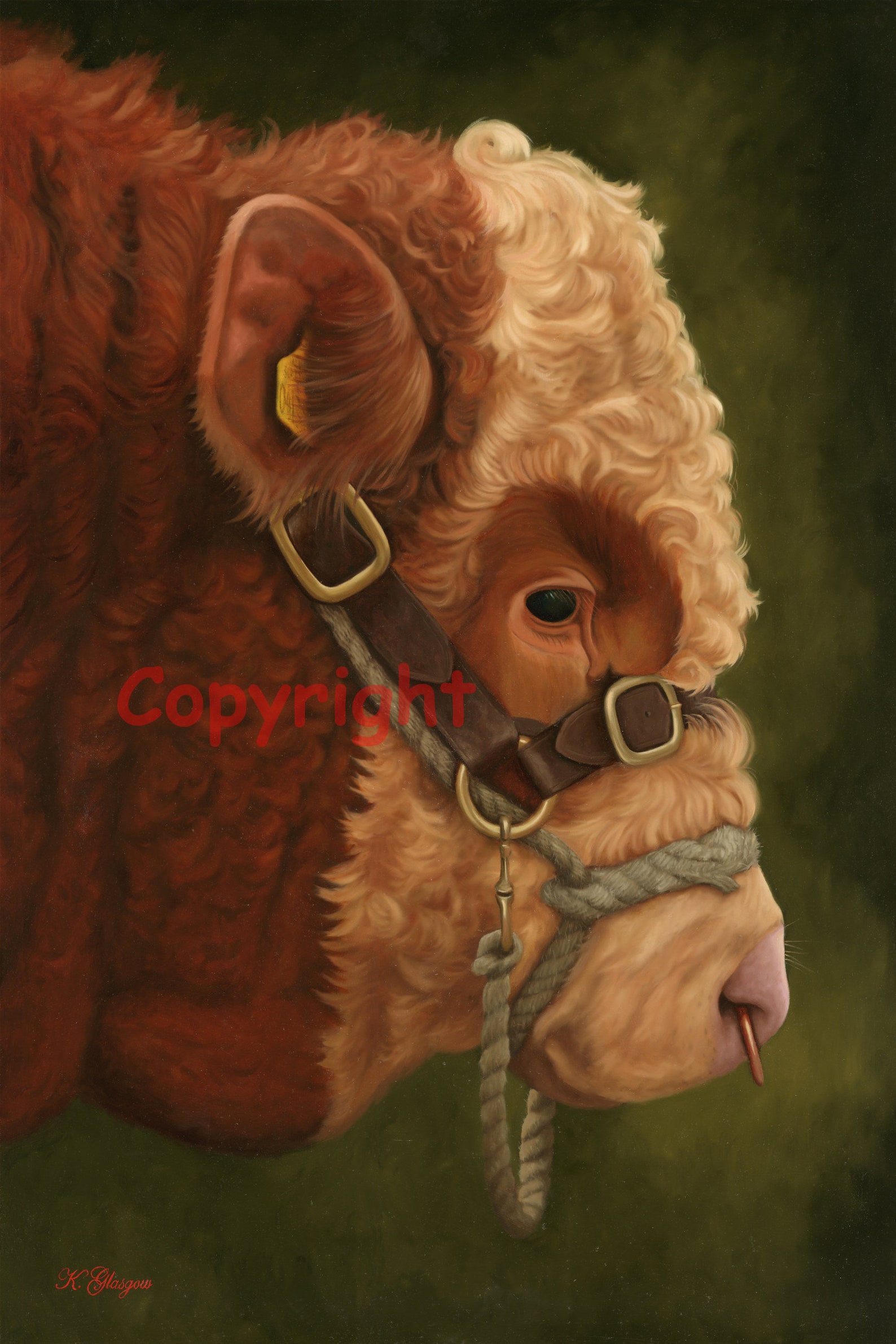 Simmental Bull Farm Cattle Canvas Wall Art Picture Print Artist Keith ...