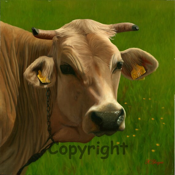 Brown Swiss Dairy Cow Farming Canvas Print Wall Art Irish | Etsy