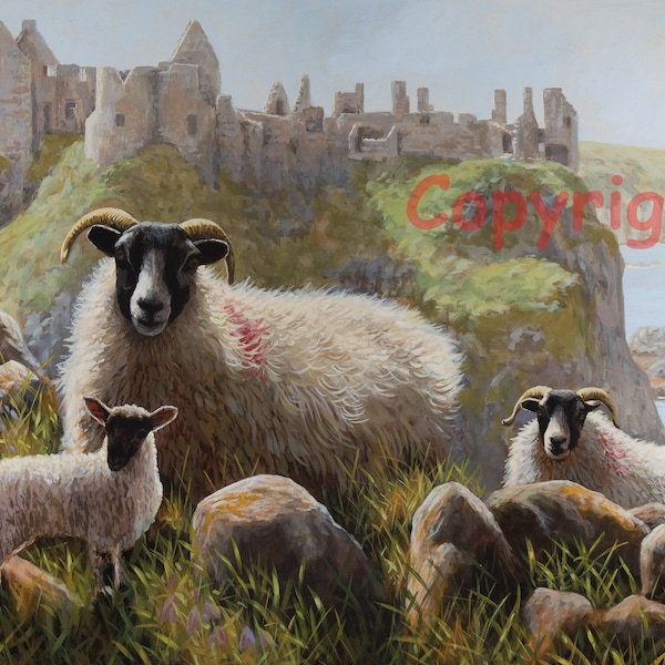 Irish Sheep - Etsy