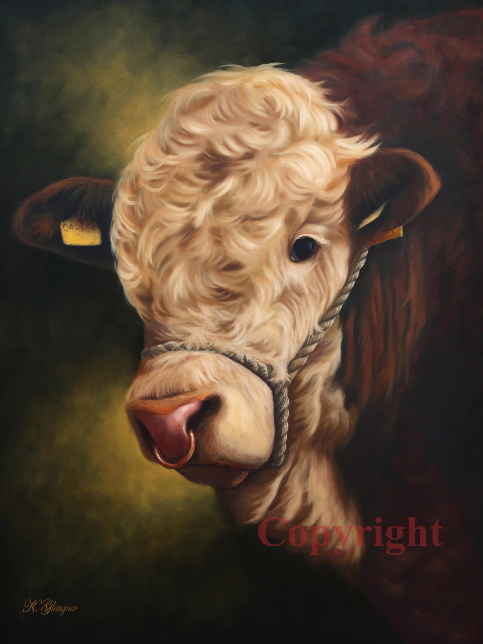 Simmental Bull Farm Cattle Canvas Wall Art Picture Print Artist Keith ...
