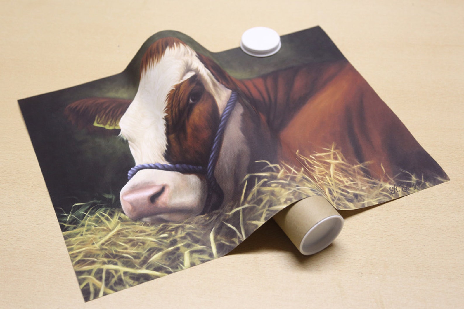 Simmental Calf Farm Cattle Canvas Wall Art Picture Print Artist Keith ...