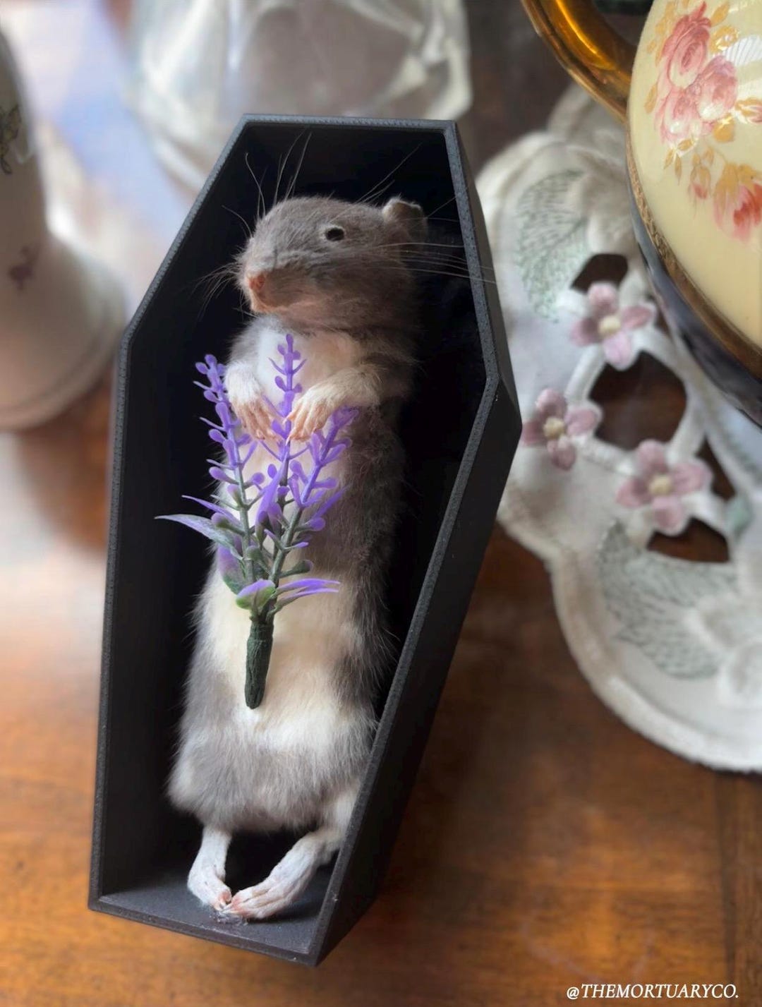 Taxidermy Rat in Open Coffin Forever Napping - Etsy