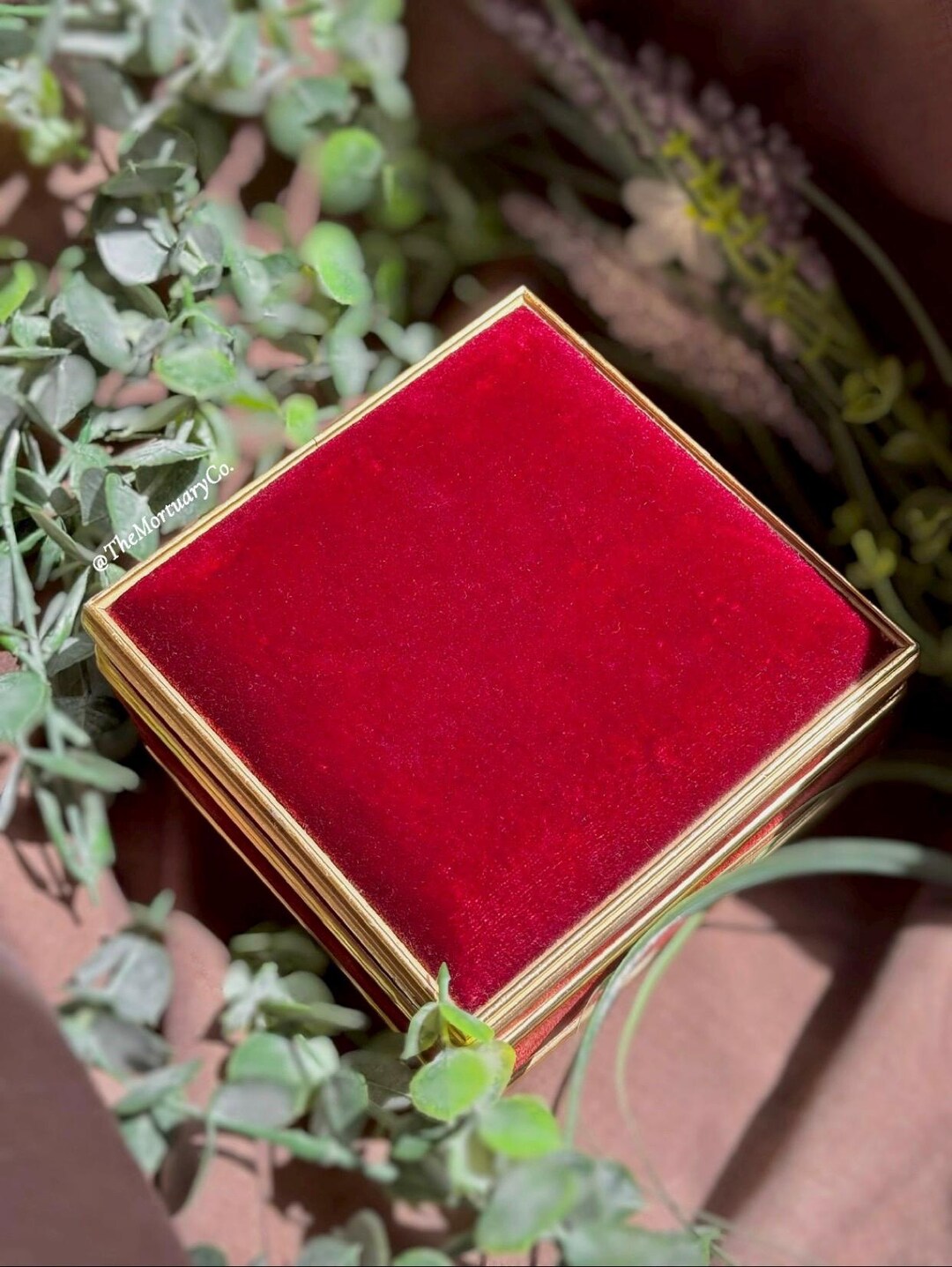 Mini Curiosity Collection Box— Red Velvet Jewelry Box With Assorted ...