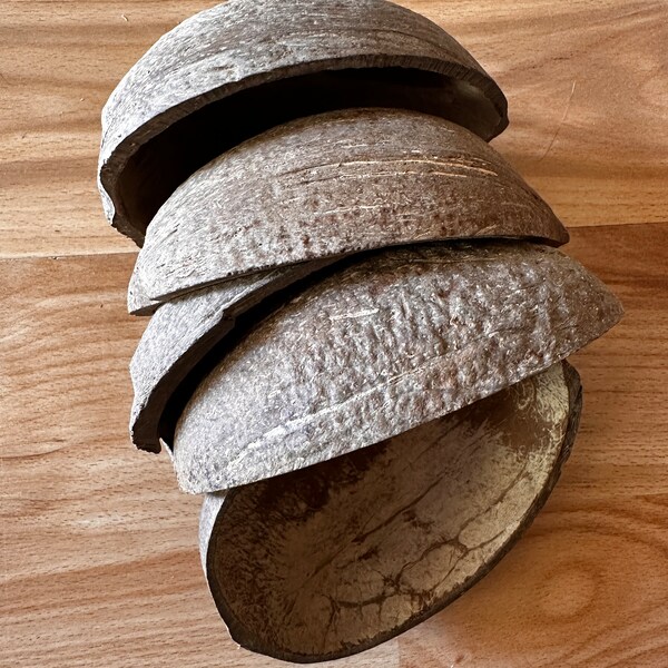 Coconut Shell - Etsy