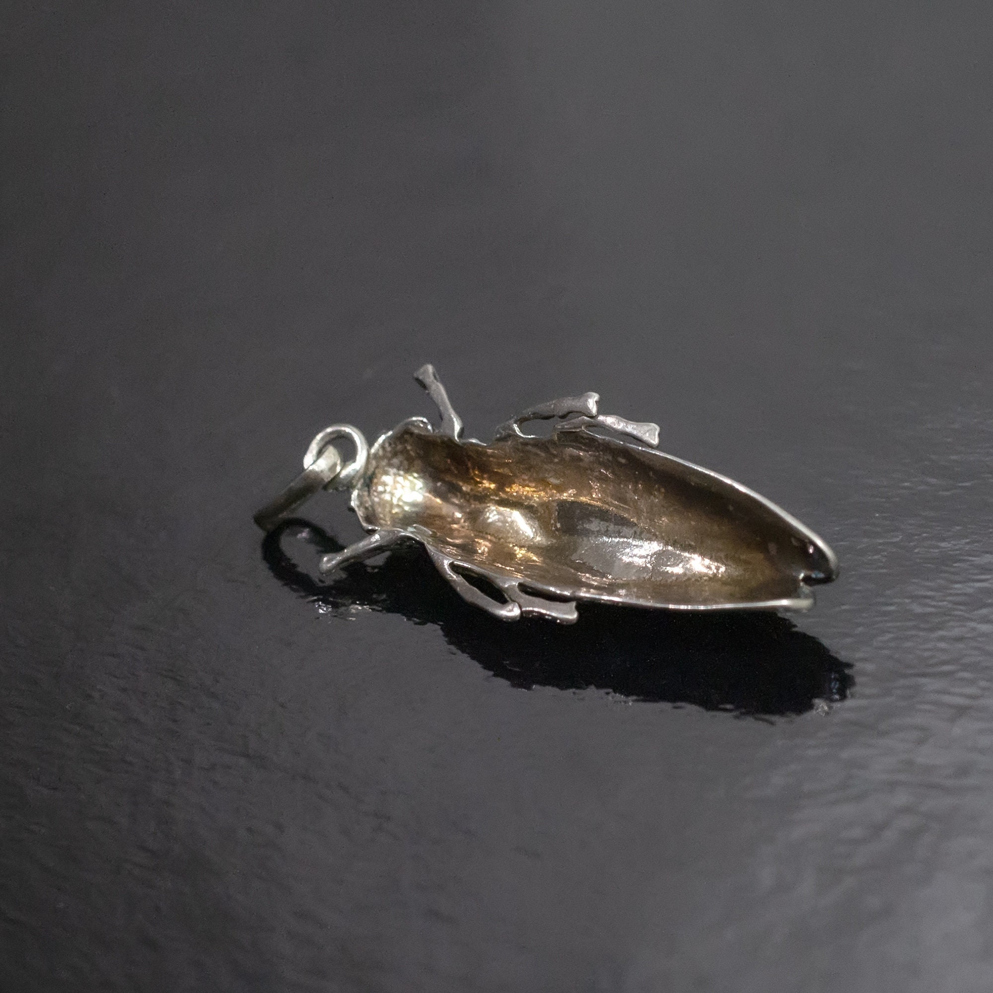 Vintage French Cicada Pendant Silver Vintage Cicada, Made in Provence ...