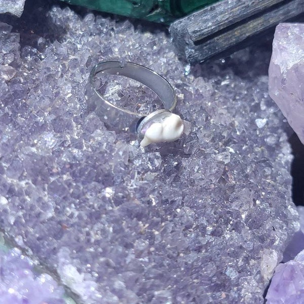 Tooth Ring - Etsy