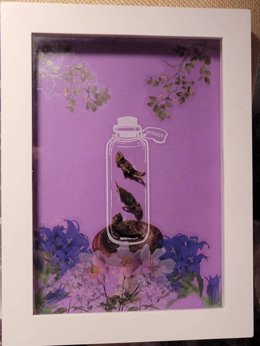 Mummified Pinky Mouse Display in Shadow Box Frame - Etsy