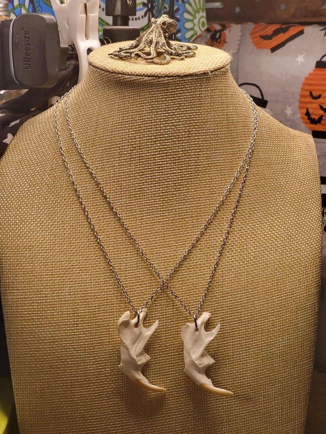 Whitened Muskrat Jaw Pendant - Etsy