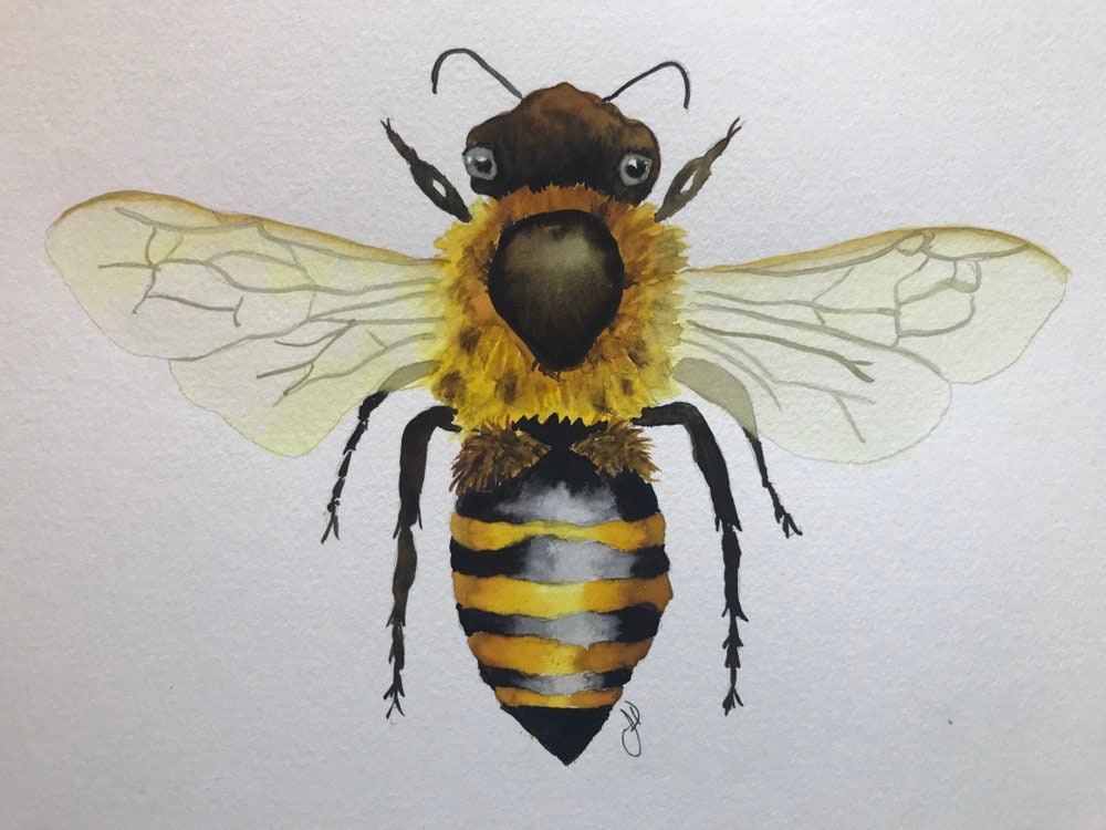 Honey Bee Original Watercolor Painting Honeycomb Bumble Beekeeper Gift ...