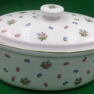 Casserole /cookware Dish. Andrea by Sadek Petite Fleur. Oval Oven-to ...