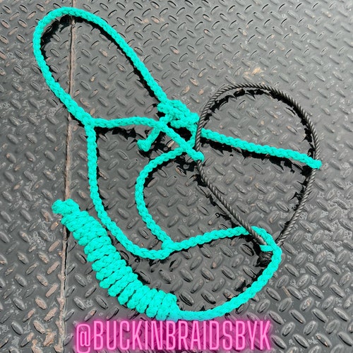 Turquoise and Gray Mule Tape Halter - Etsy