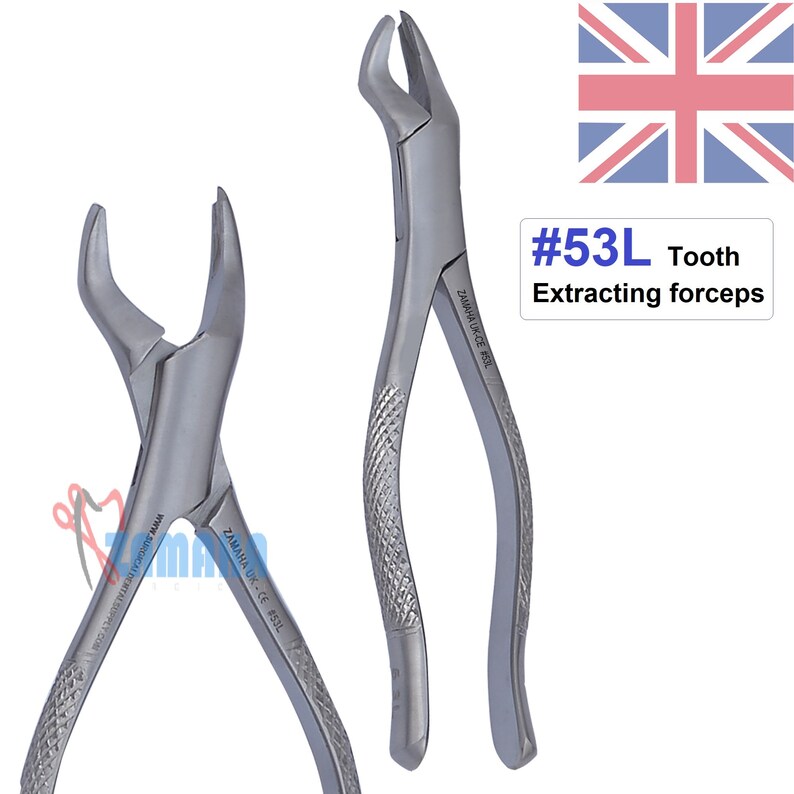 Tooth Extracting Forceps 53L Fig 53L Extraction Forceps 53L | Etsy