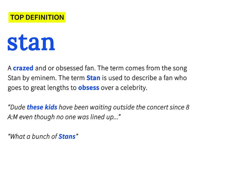 Stan Slang Definition Mug Funny Coffee Mug Unique BFF Gift | Etsy