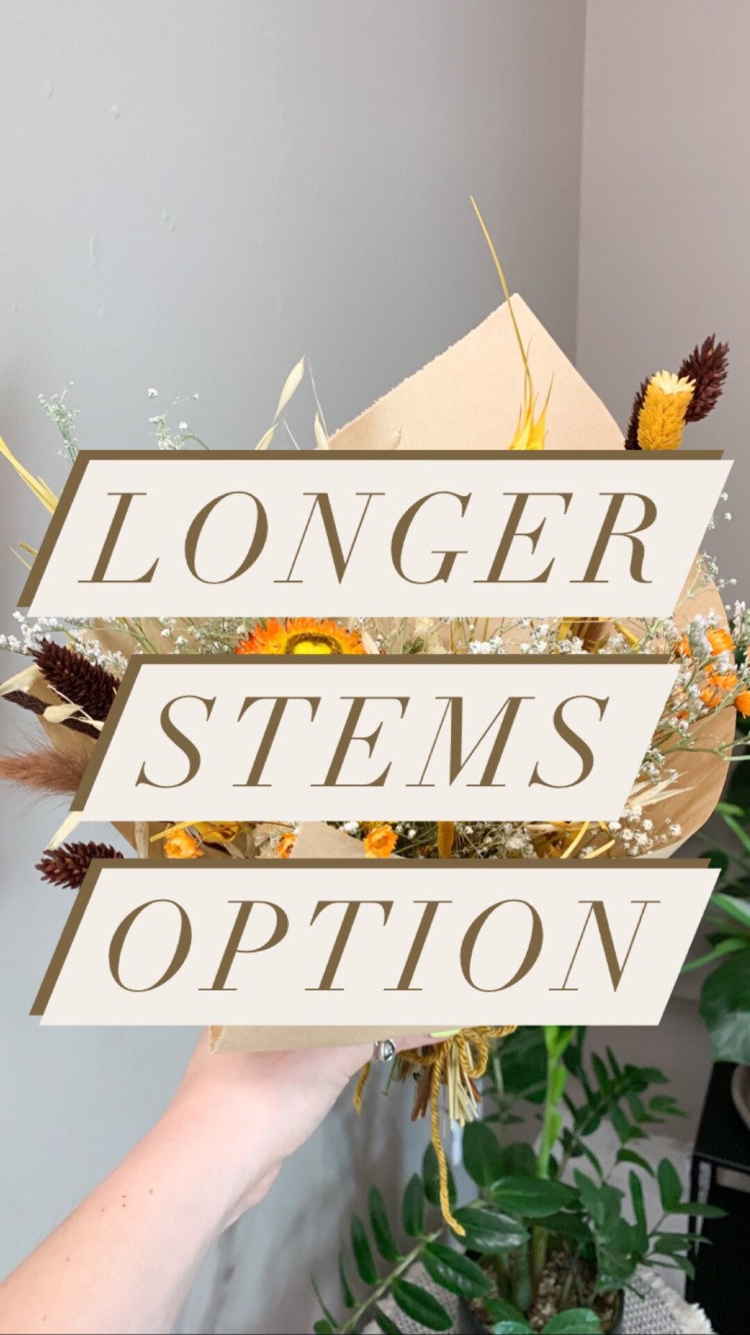 Longer Stems or Upgrade Size Option - Etsy
