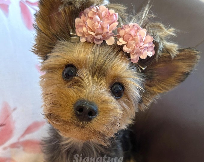 Puppy Dog Hydrangea Flower Hair Bow Clips - Pink, Coral, Mauve Floral ...