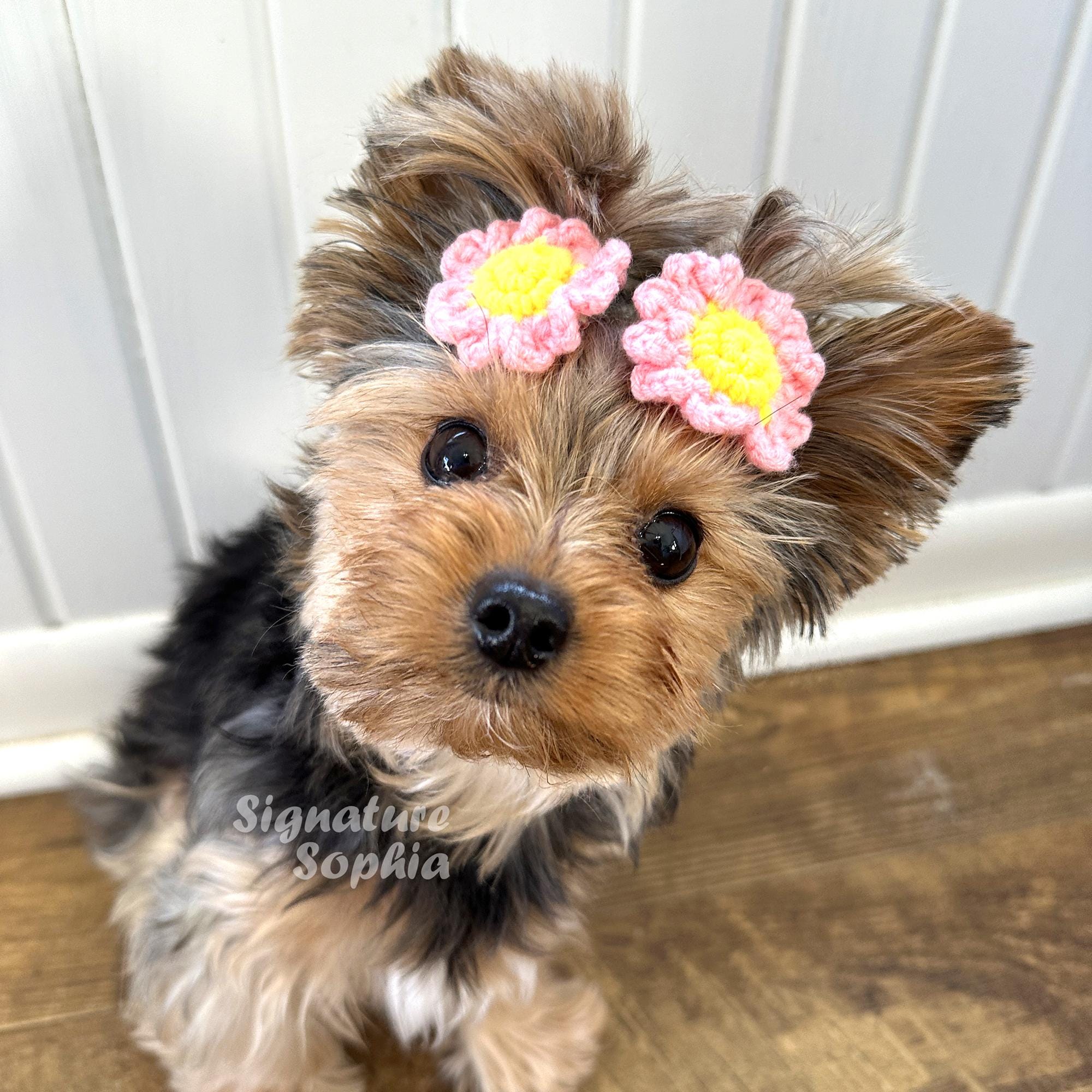 Crocheted Spring Puppy Dog Flower Hair Bow Clips - Floral Piggie Bows ...