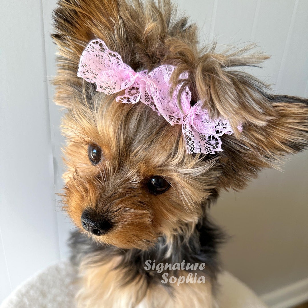 Puppy Dog Pink Lace Hair Bow Clip - Pink Piggie Bows Hair Accessories ...