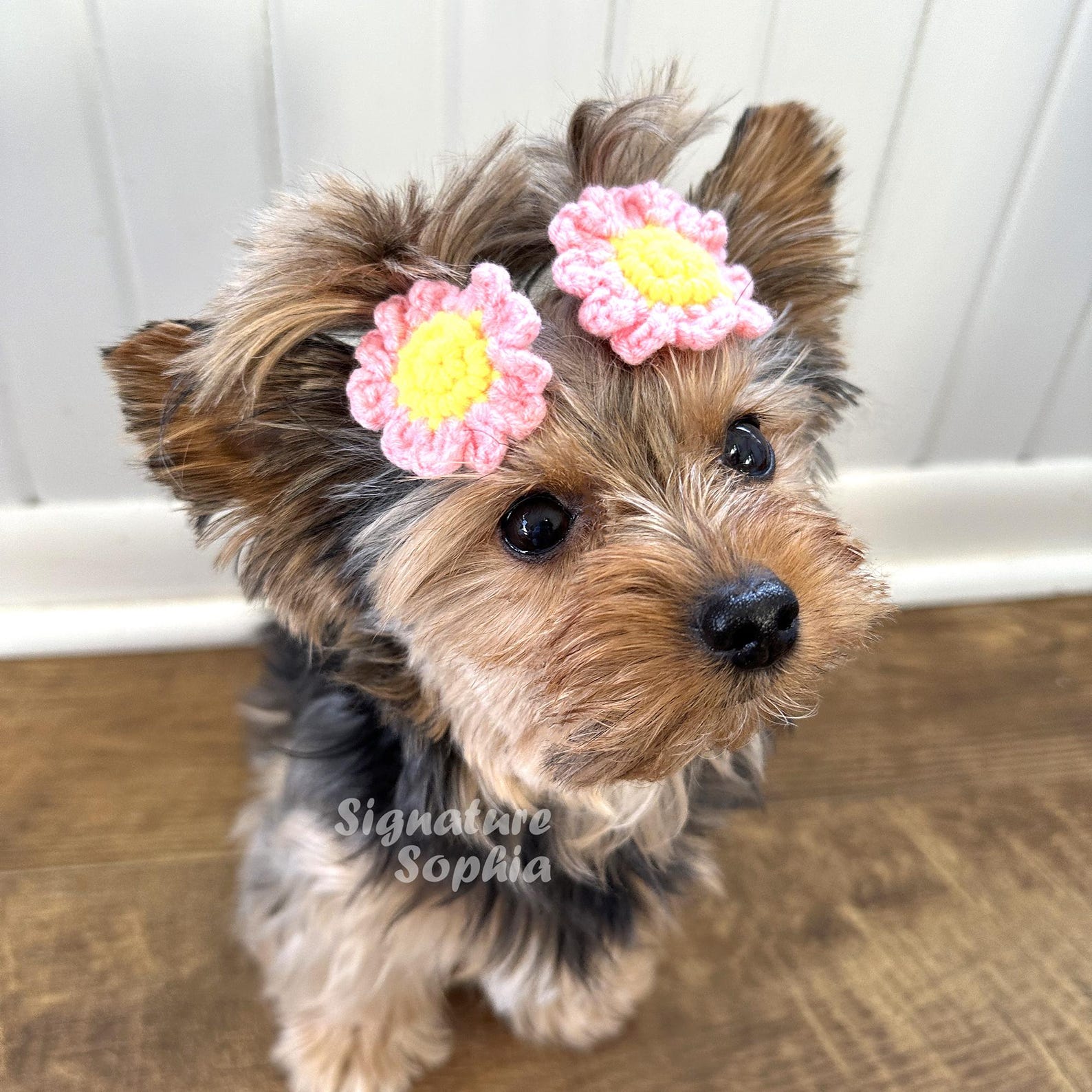 Crocheted Spring Puppy Dog Flower Hair Bow Clips - Floral Piggie Bows ...