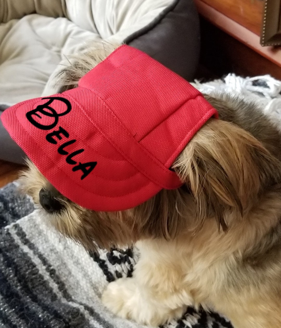Custom Pet Hat 5 Famous Fonts to Choose From Pet Base Ball Cap Dog Cap ...