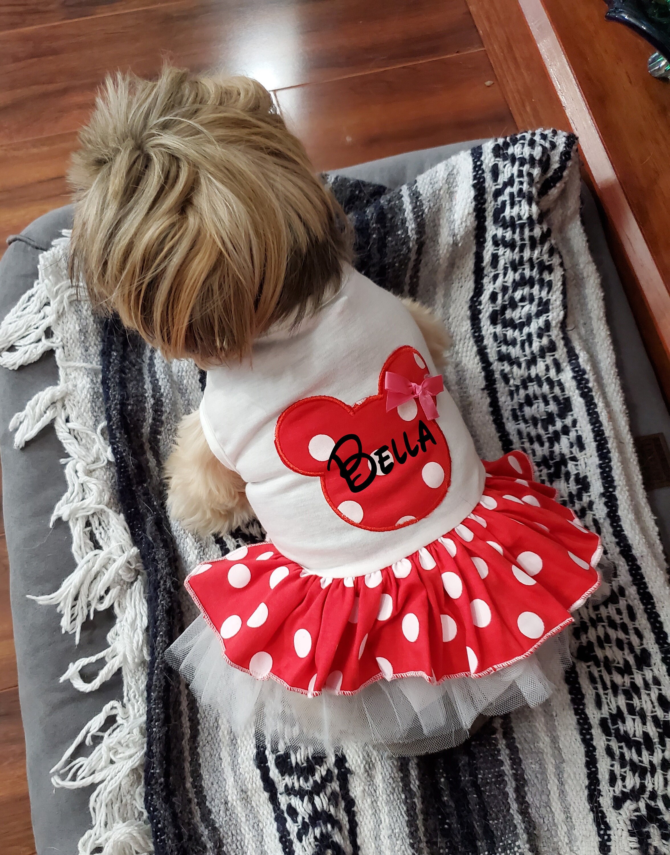 Minie Poke-a-dot Pet Dress Minnie Dog Tutu Dog Dress - Etsy