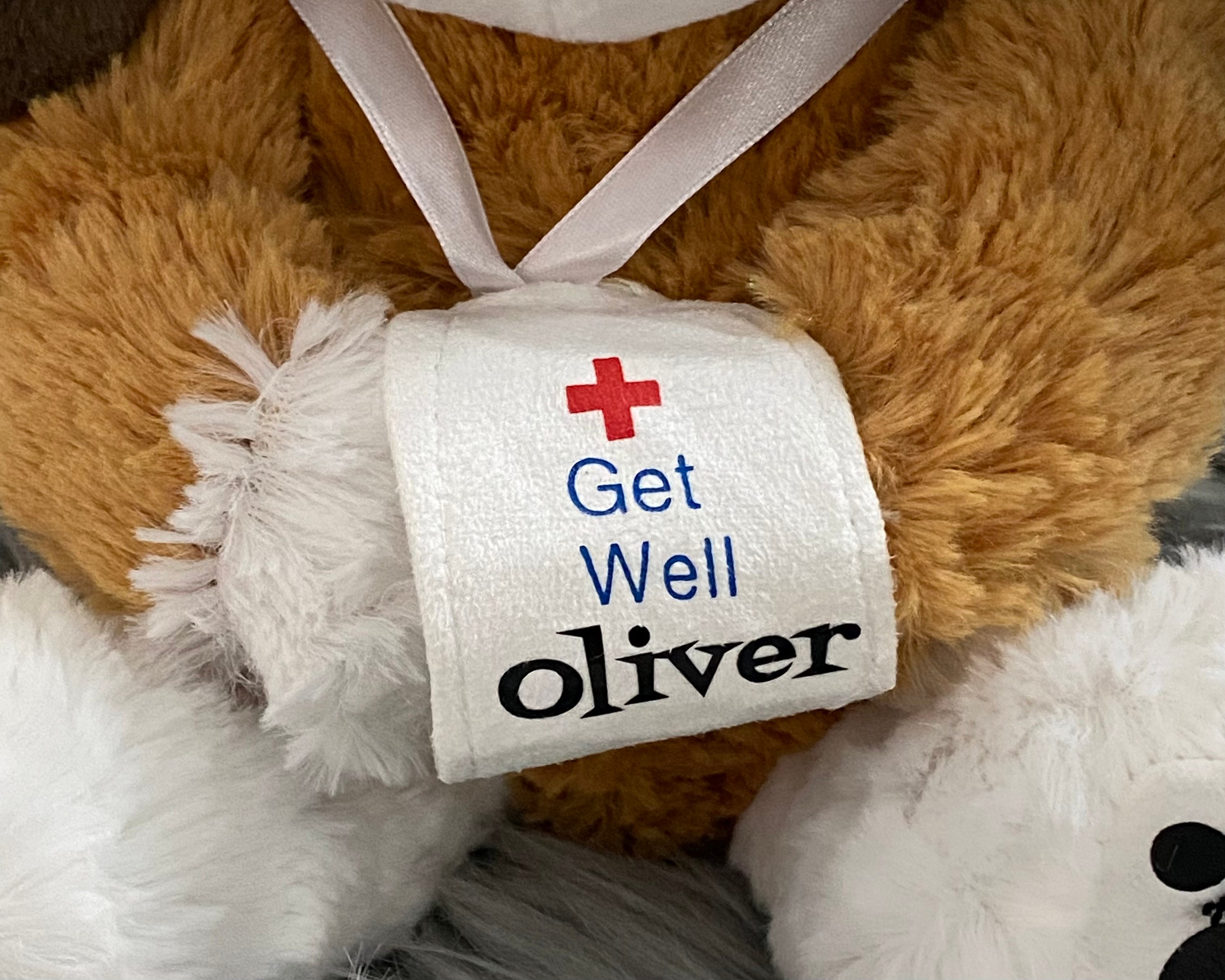 Get Well Gift Personalized Get Well Dog Plush Toy/personalized Get Well ...