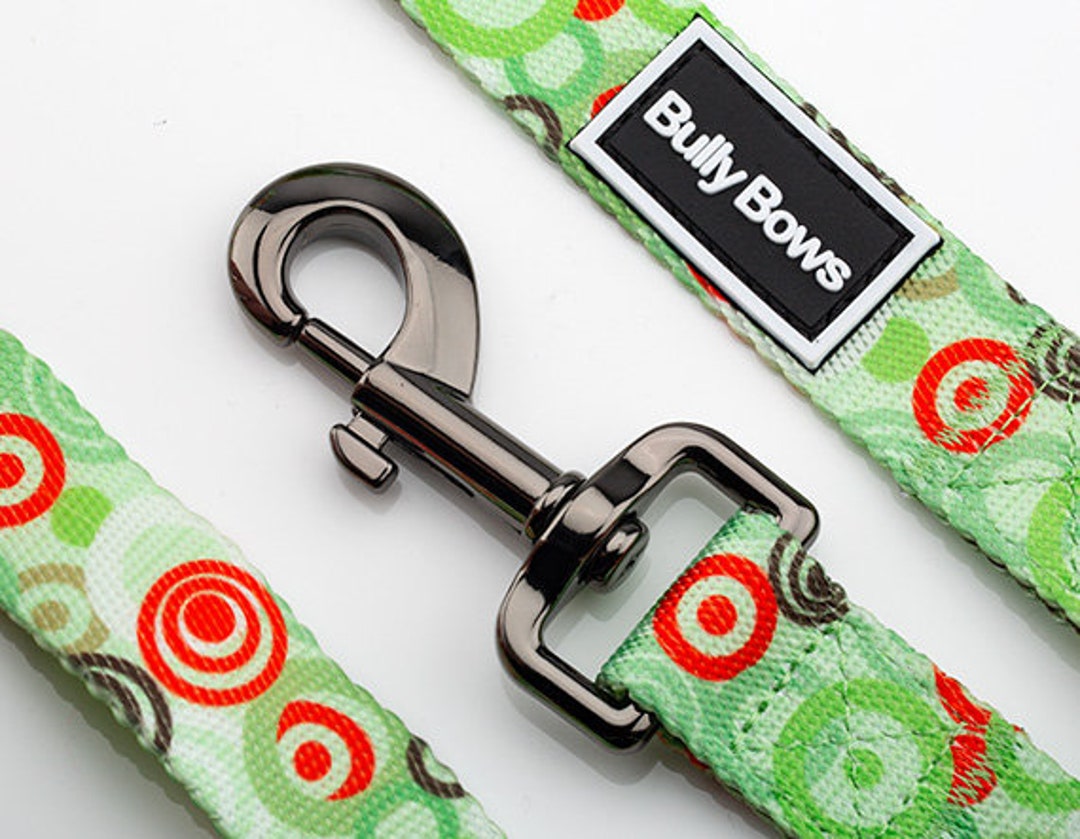 Colorful Vibrant Dog Leash | Spring Dog Leash | Artistic Dog Leash ...