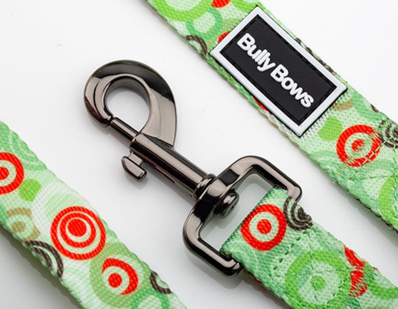 Colorful Vibrant Dog Leash Spring Dog Leash Artistic Dog - Etsy