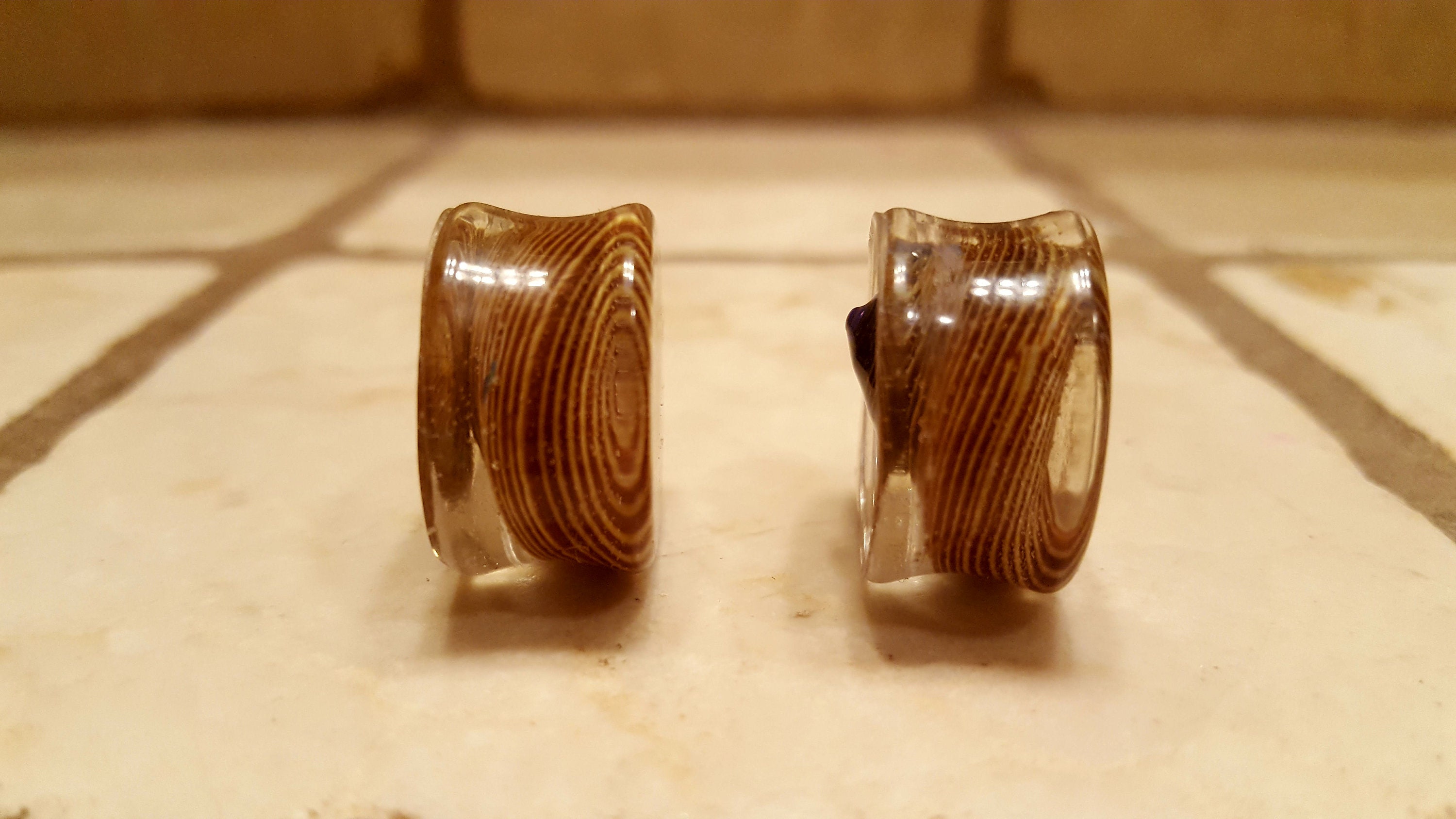 REAL SEASNAIL SHELL Plugs 20mm13/16pairhandmade | Etsy