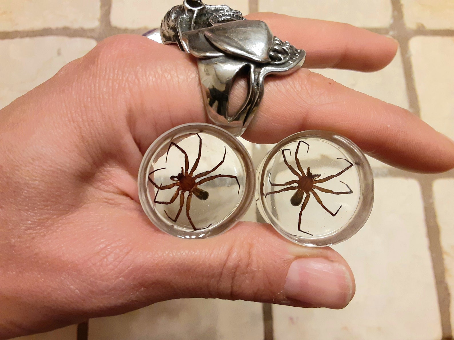 REAL SPIDER PLUGS 26mm pairhandmade | Etsy