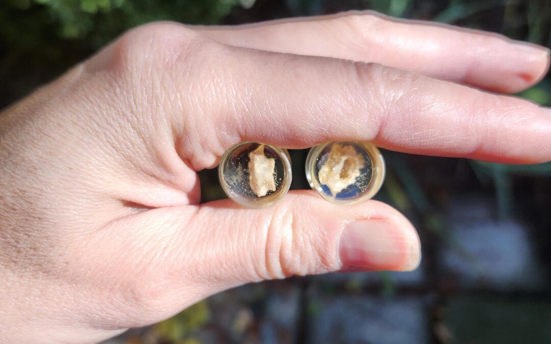 REAL BONE EARPLUGS 14mm (pair) - Etsy