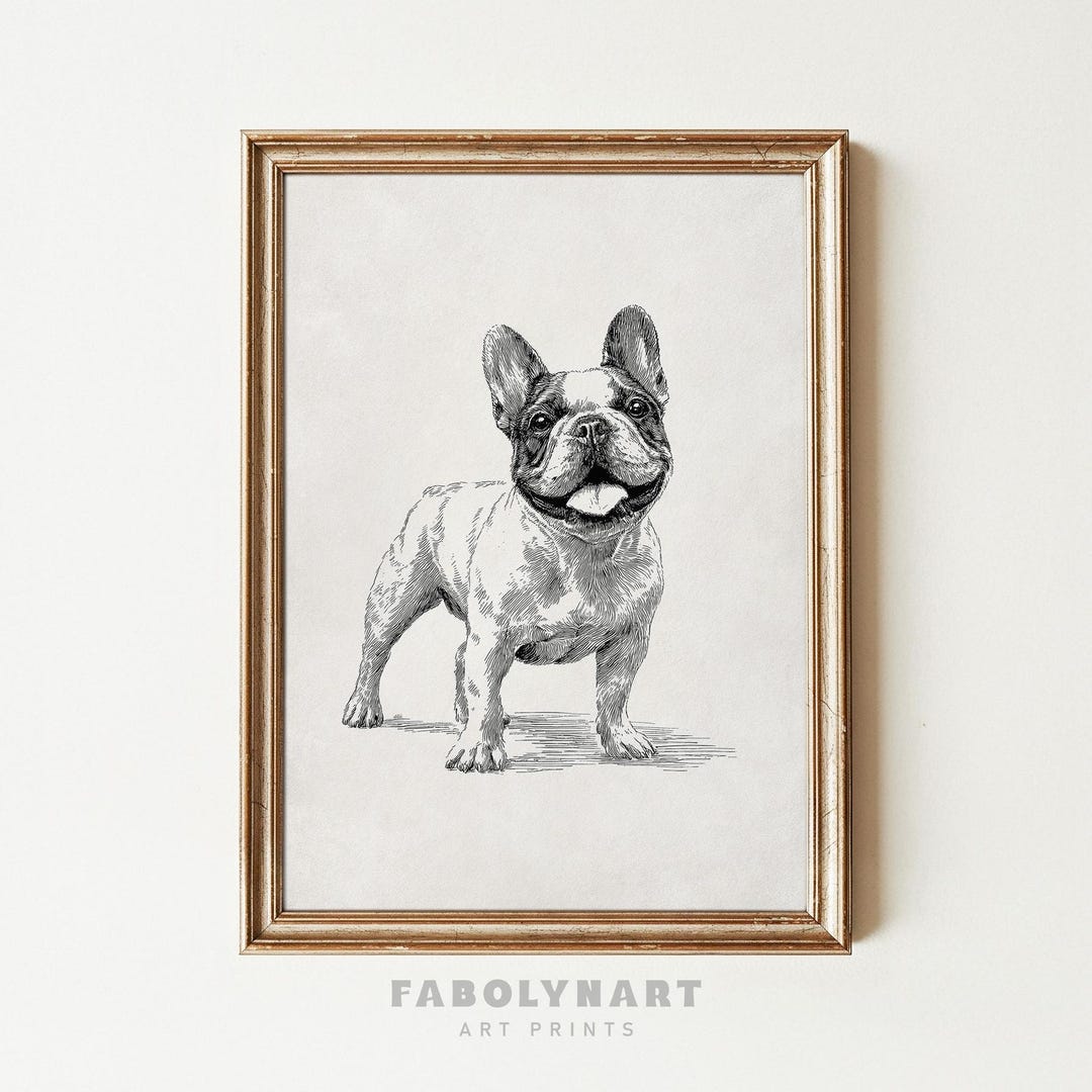 Vintage French Bulldog Wall Art Print, Minimalist Frenchie Sketch ...