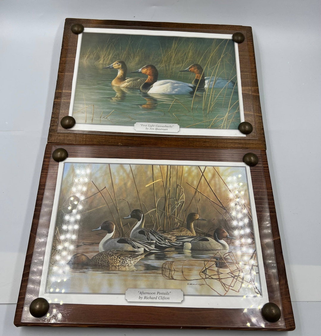 Vintage Set Duck Waterfowl Prints Wooden Frame Richard Clifton - Etsy