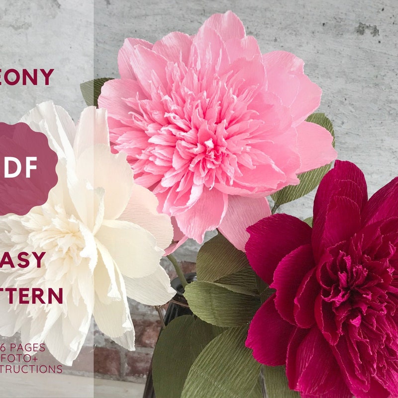 Peonies Paper - Etsy