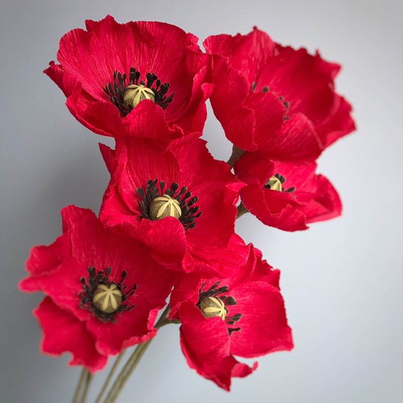 Paper Poppies - Etsy