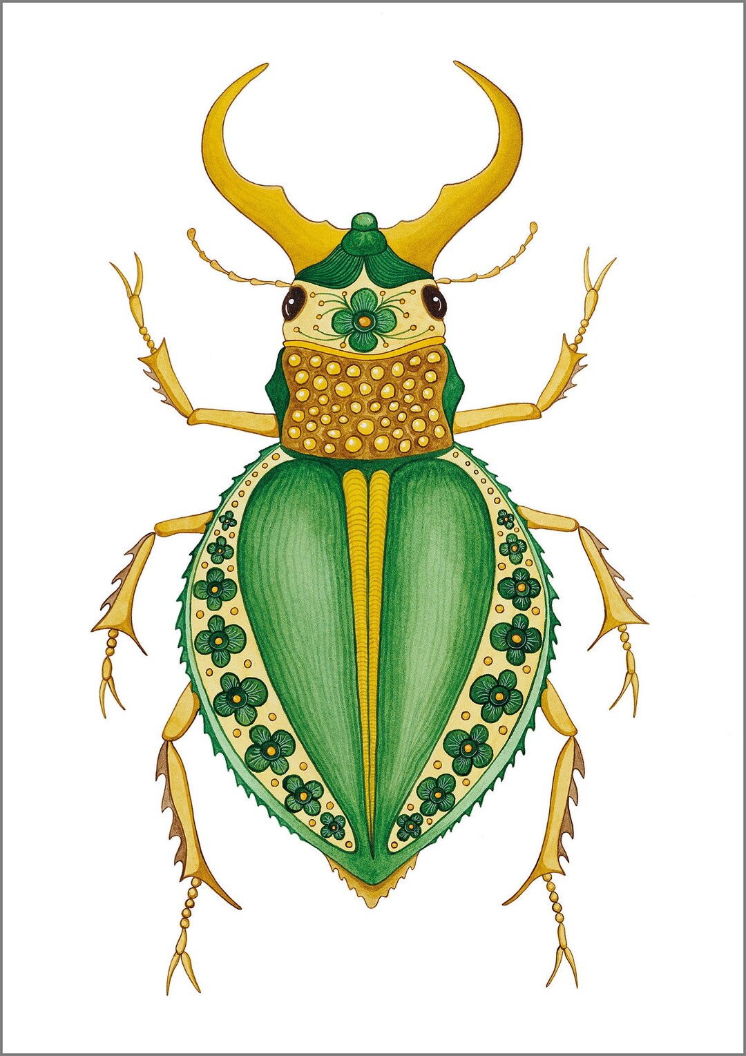 Beetle Card, Watercolour, A5, Digital Print - Etsy